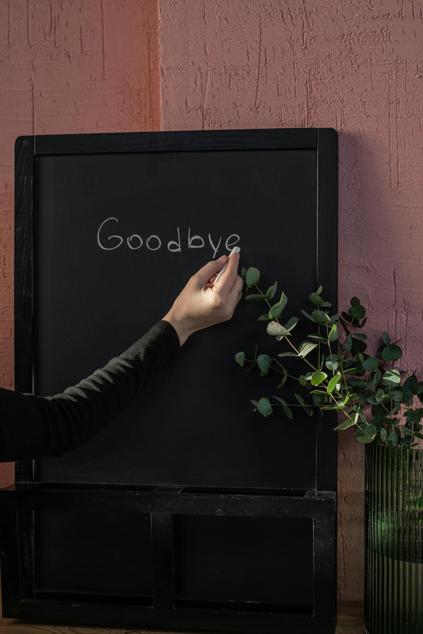 The Art of Goodbye: Letting Go to Make Space for the Life You Want ...